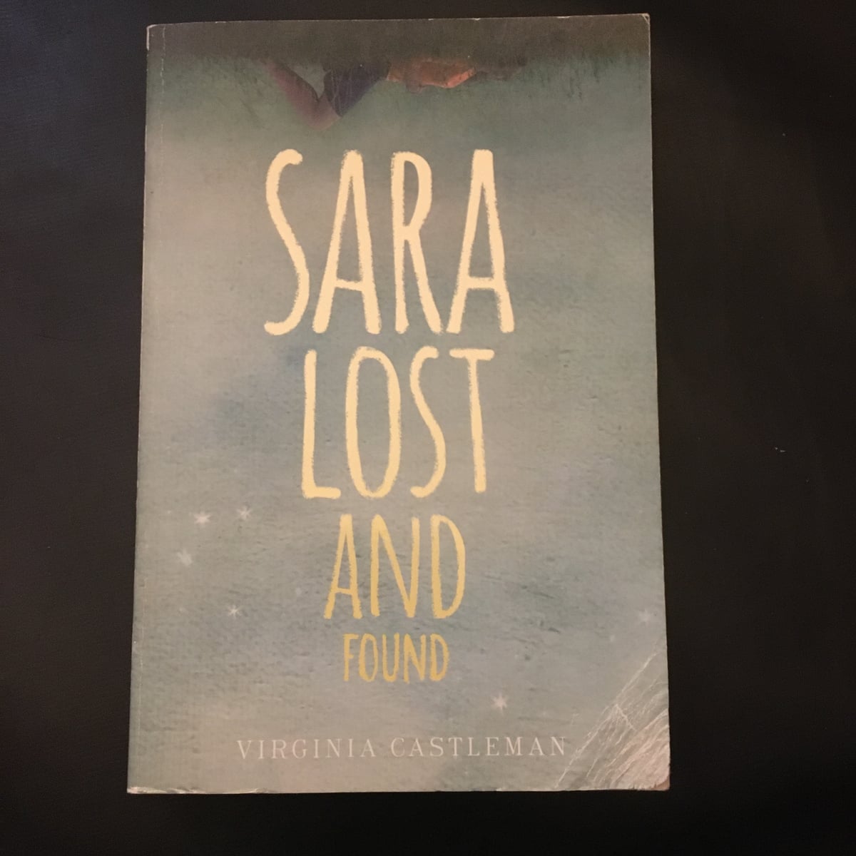 Sara Lost And Found