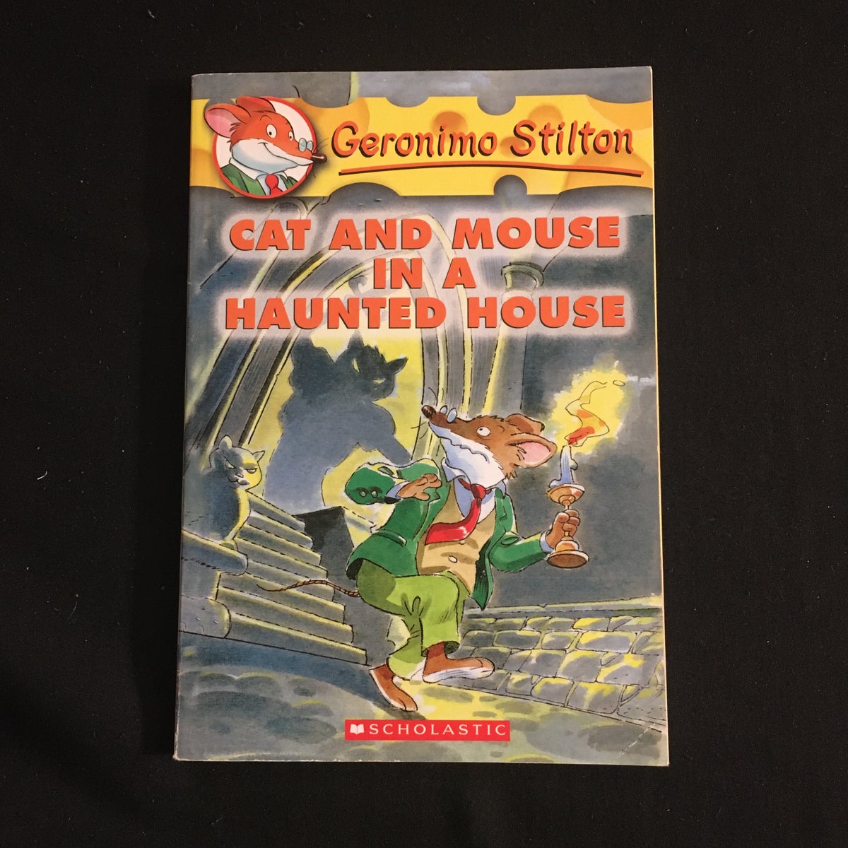 Cat and Mouse in a Haunted House