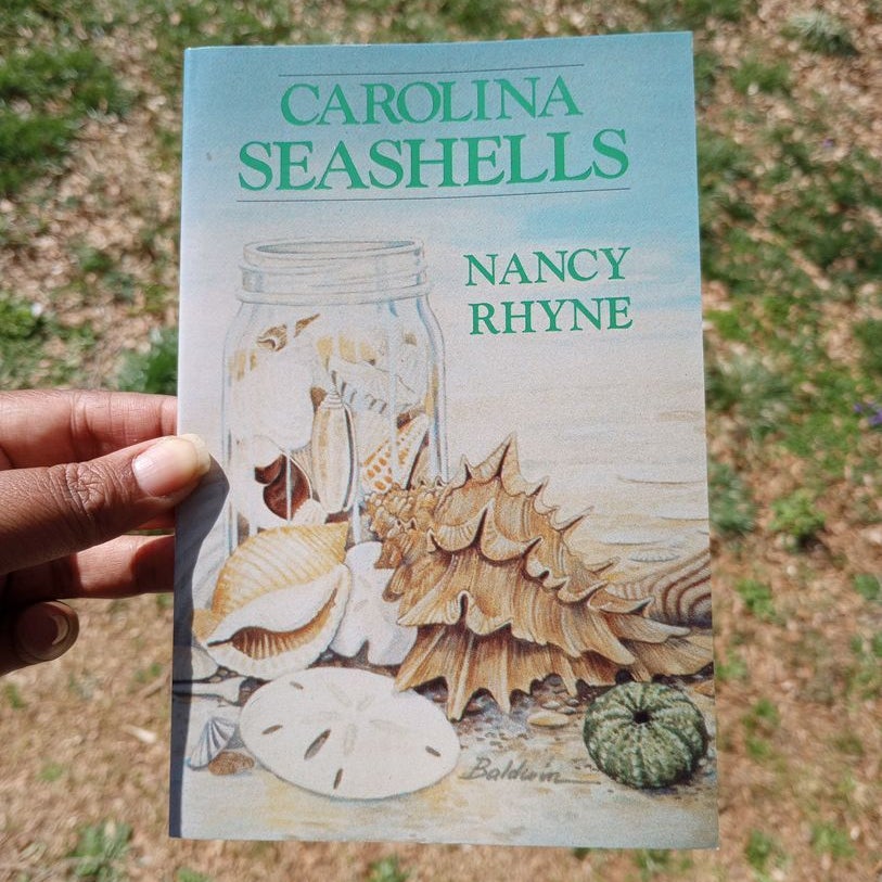Carolina Seashells by Nancy Rhyne