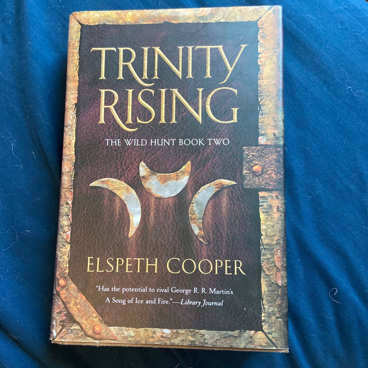 Trinity Rising by Elspeth Cooper, Hardcover | Pangobooks