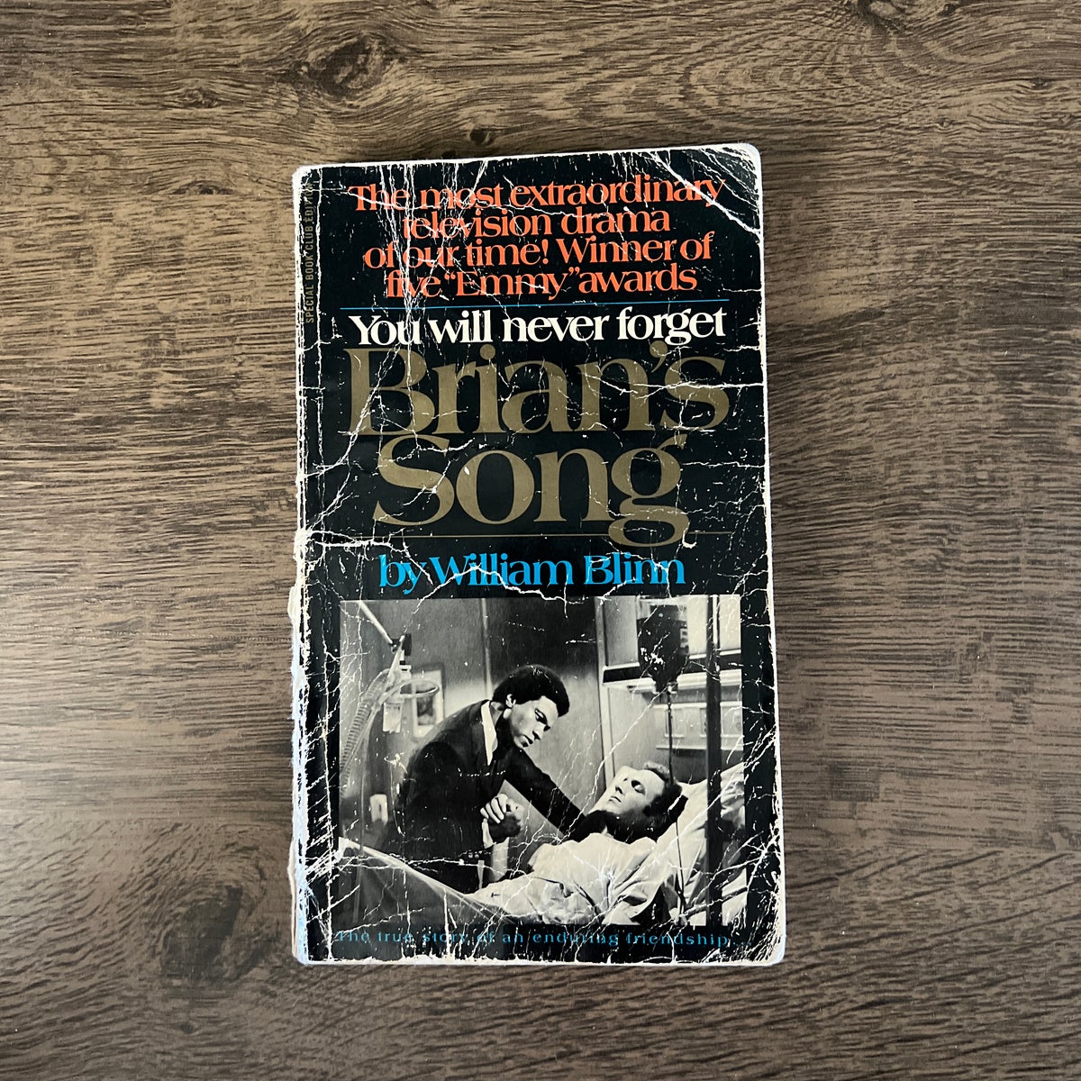 Brian’s Song by William Blim, Paperback | Pangobooks