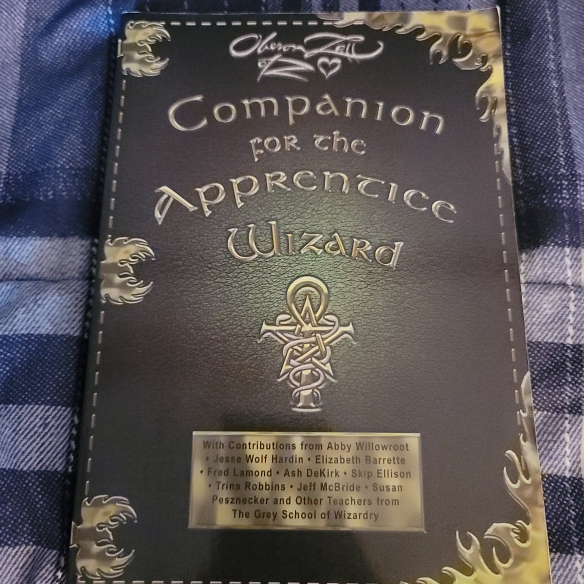 Companion for the Apprentice Wizard by Oberon Zell-Ravenheart