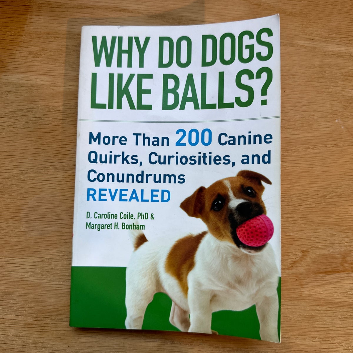 Why Do Dogs Like Balls? by D. Caroline Coile, Margaret H. Bonham