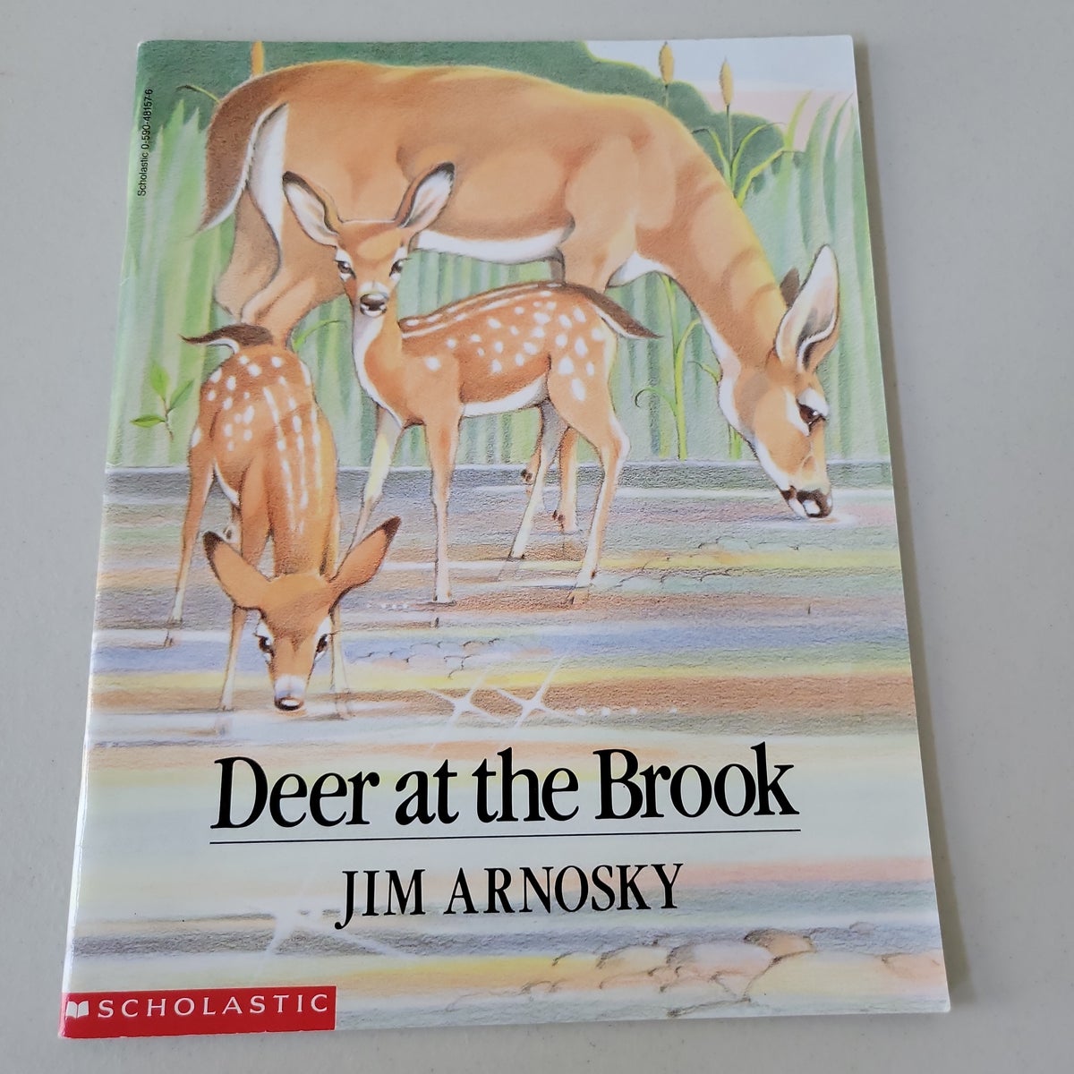 Deer at the Brook by Jim Arnosky, Paperback | Pangobooks