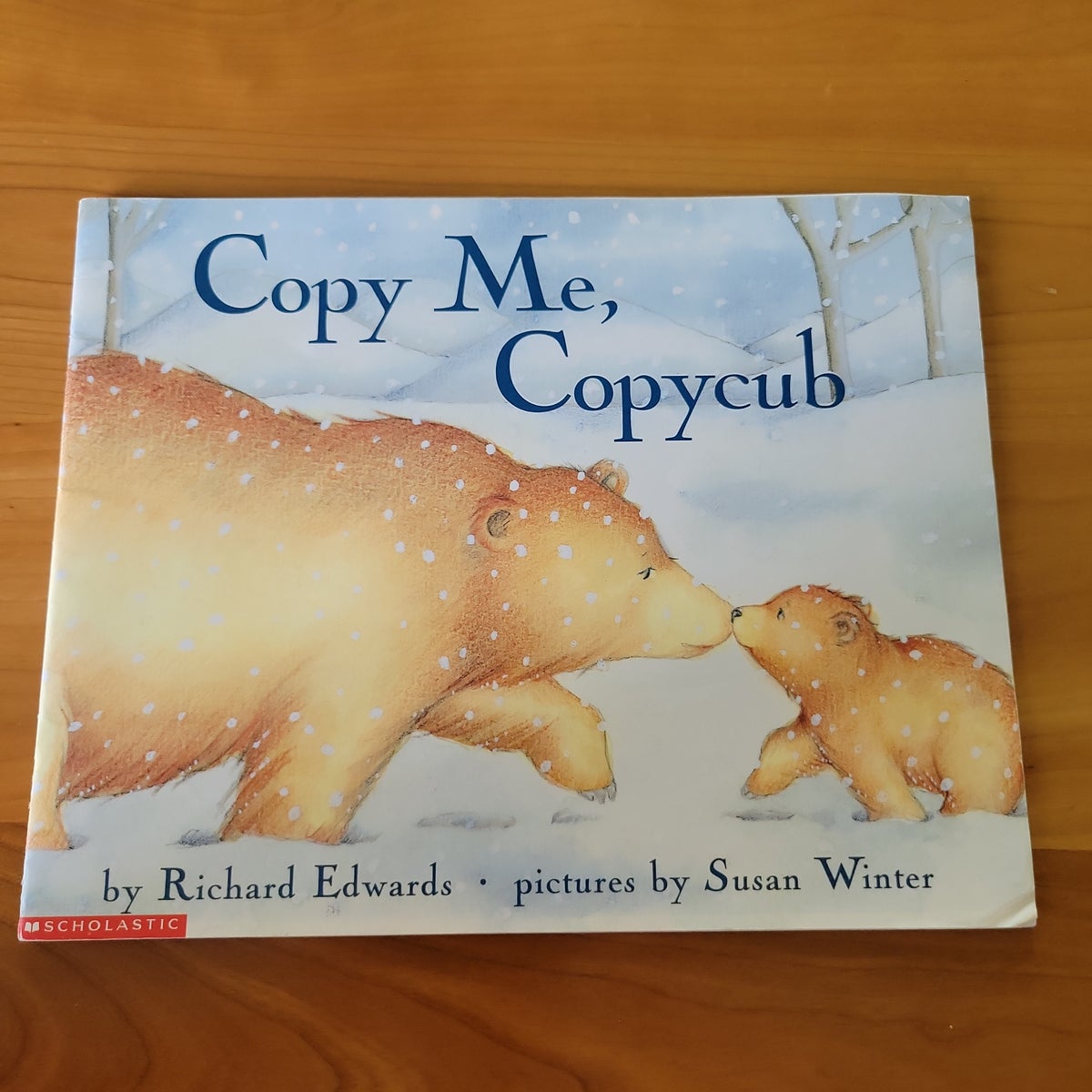 Copy Me, Copycub by Richard Edwards, Paperback | Pangobooks