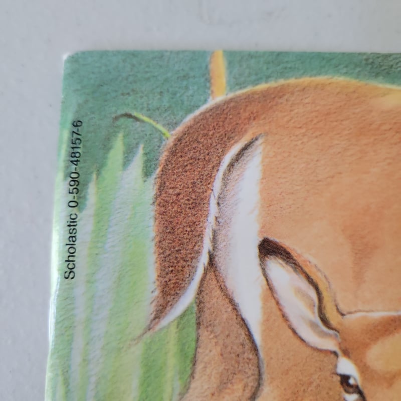 Deer at the Brook by Jim Arnosky, Paperback | Pangobooks