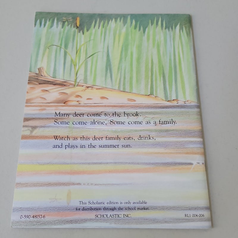 Deer at the Brook by Jim Arnosky, Paperback | Pangobooks