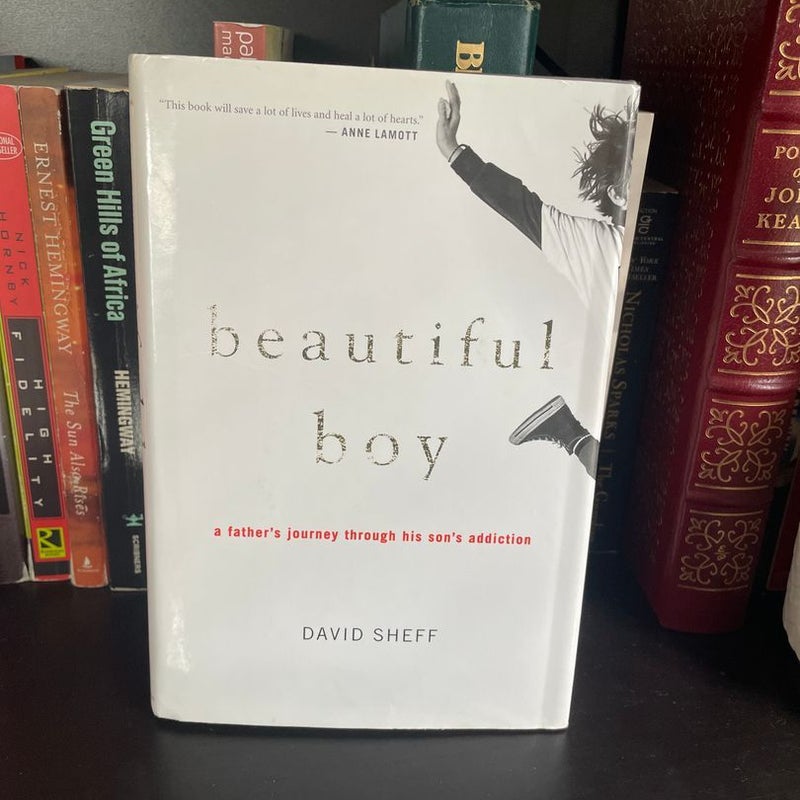 Beautiful Boy by David Sheff