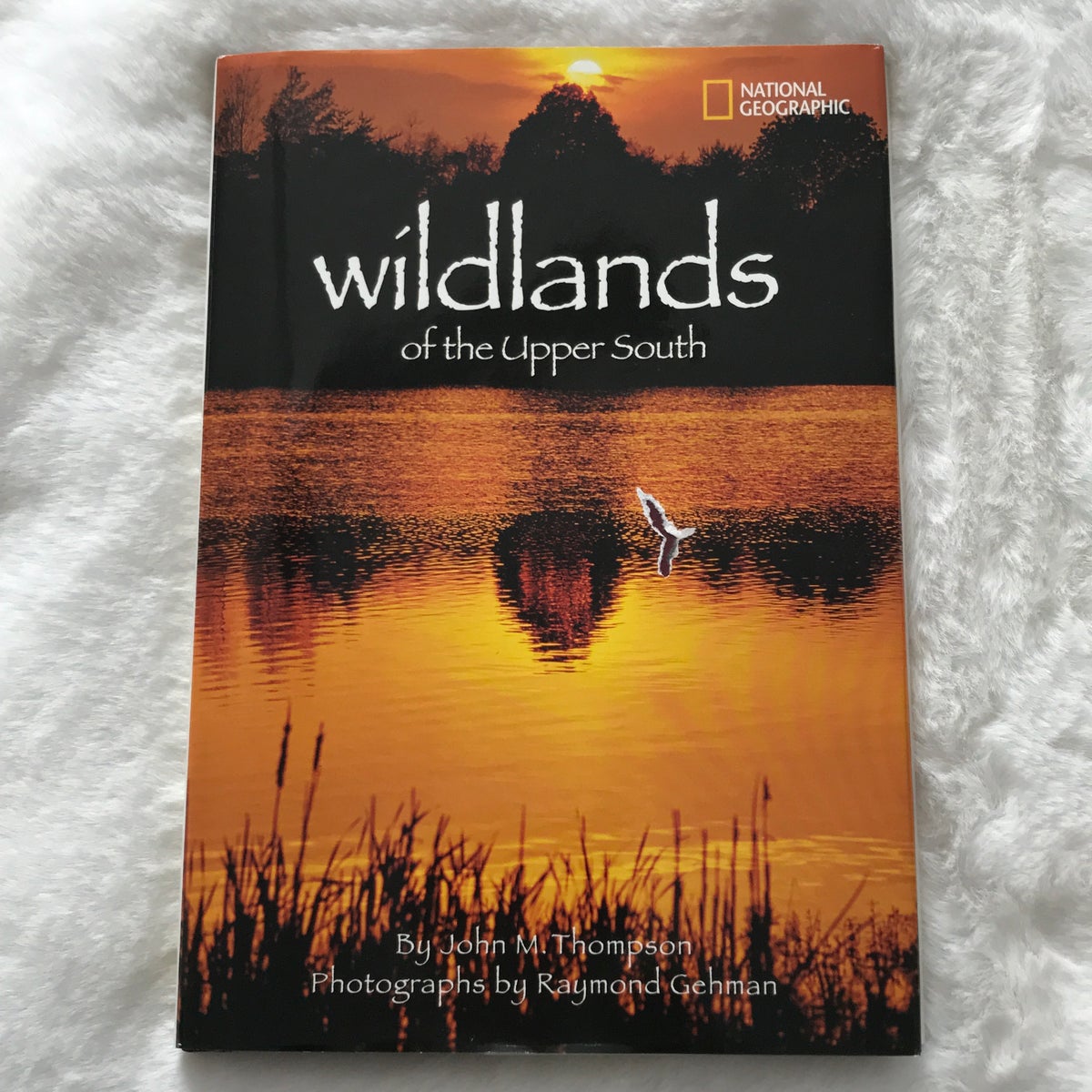 Wildlands of the Upper South by John M. Thompson