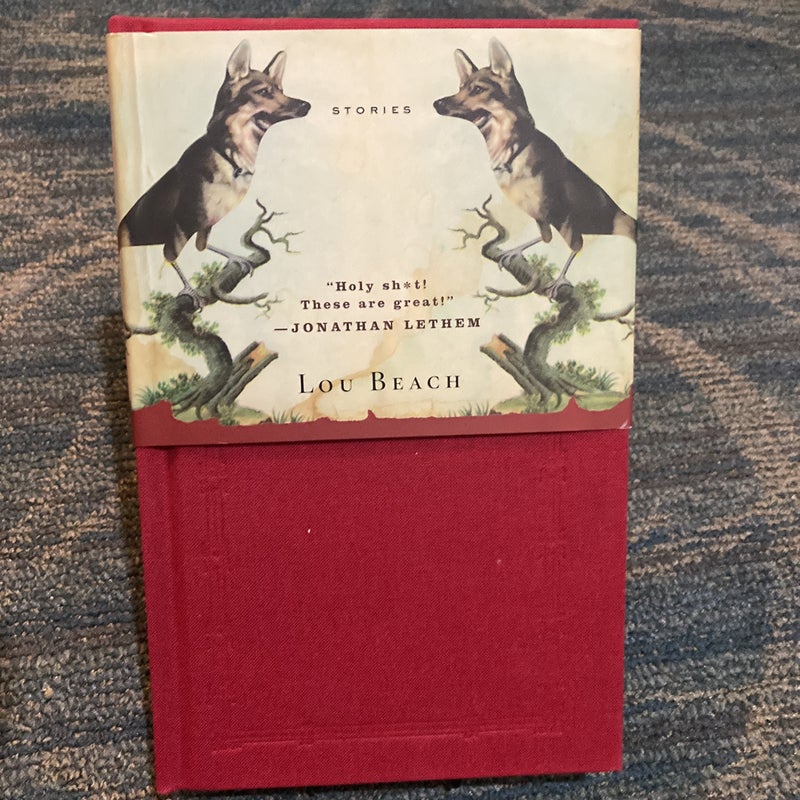 420 Characters by Lou Beach, Hardcover | Pangobooks