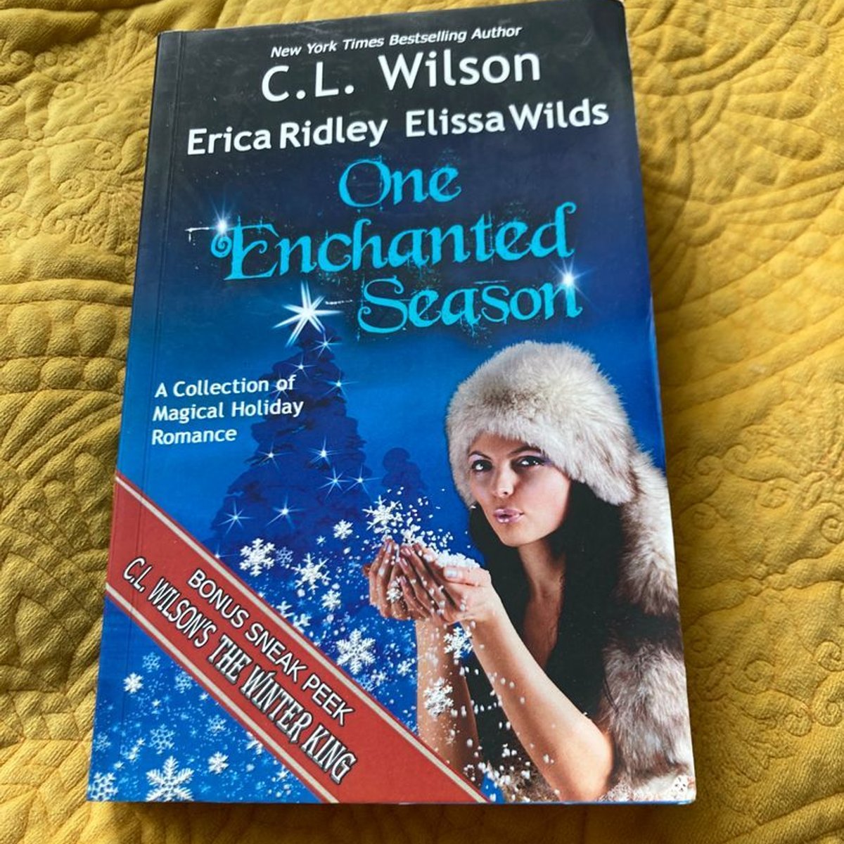 One Enchanted Season by C. L. Wilson, Erica Ridley, Elissa Wilds
