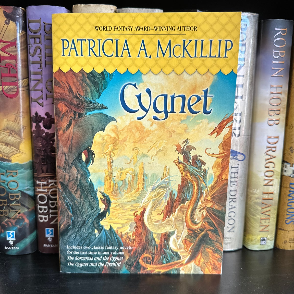 Cygnet by Patricia A. McKillip, Paperback | Pangobooks
