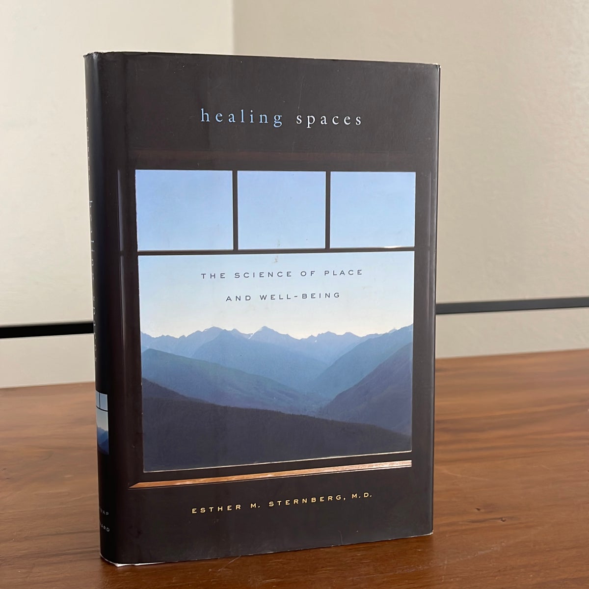 Healing Spaces by Esther M. Sternberg