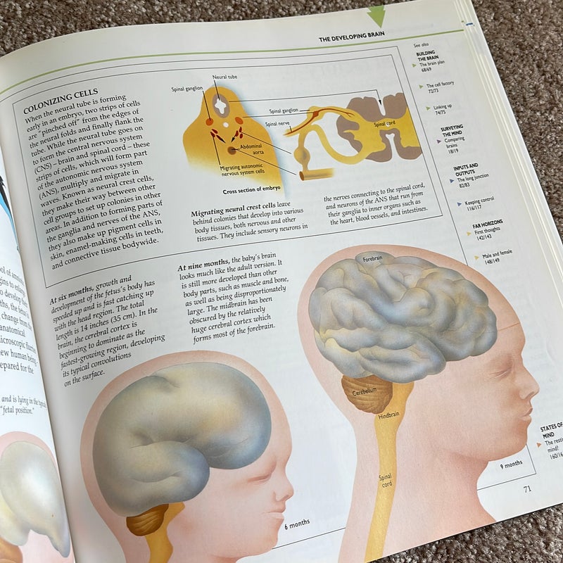 The Human Mind Explained by Susan Greenfield