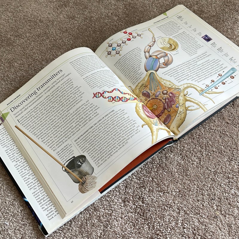 The Human Mind Explained by Susan Greenfield