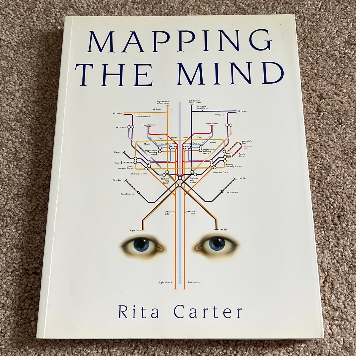 Mapping the Mind by Rita Carter