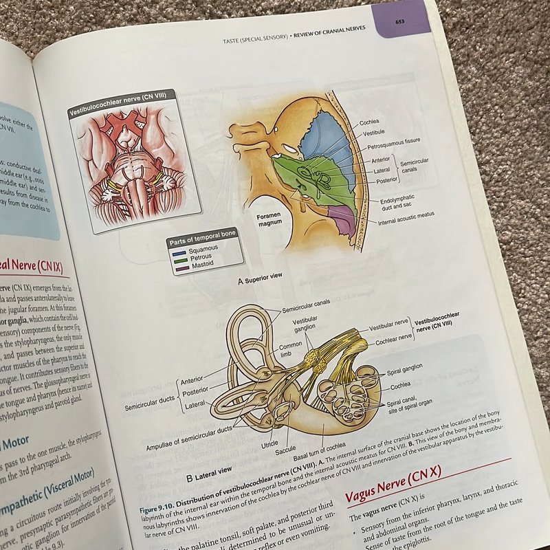 Essential Clinical Anatomy by Bruce Alberts, Karen Hopkin, Alexander D ...