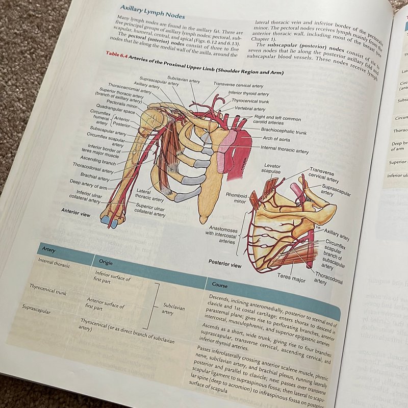 Essential Clinical Anatomy by Bruce Alberts, Karen Hopkin, Alexander D ...