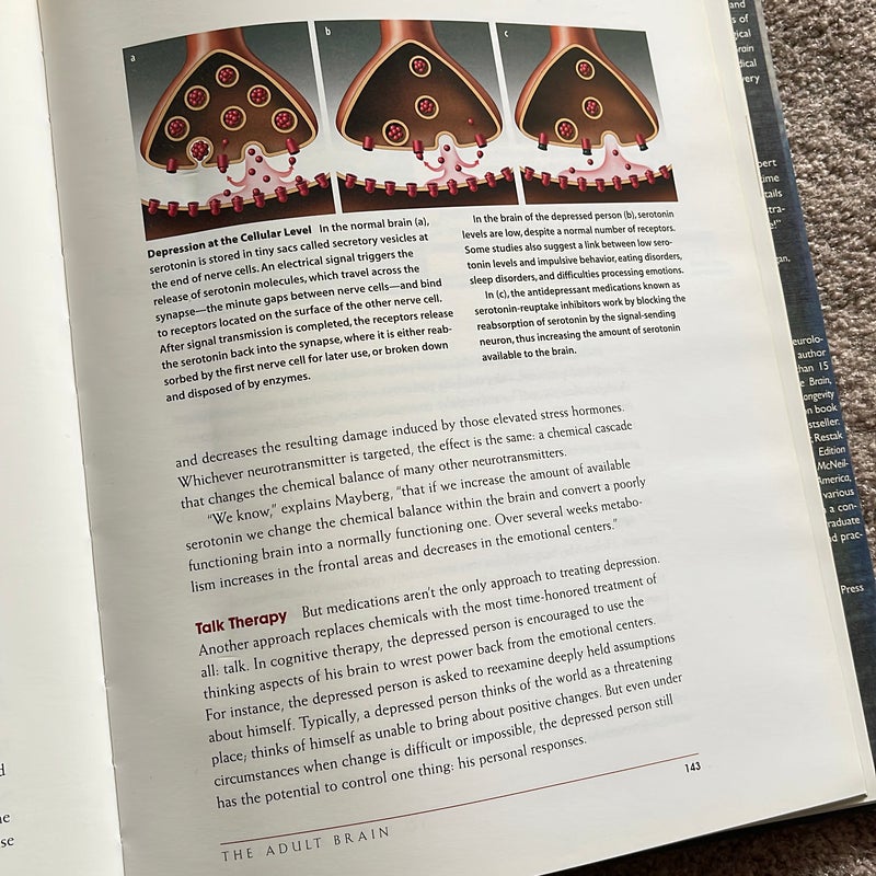 The Secret Life of the Brain by Richard Restak, David Grubin