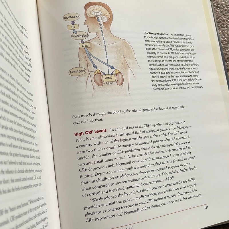 The Secret Life of the Brain by Richard Restak, David Grubin