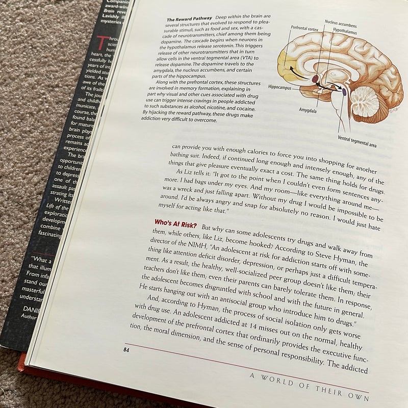 The Secret Life of the Brain by Richard Restak, David Grubin