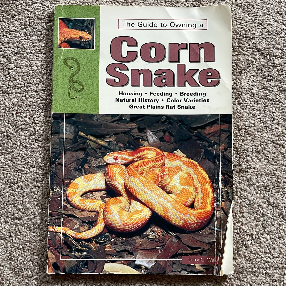Corn Snakes by Jerry G. Walls