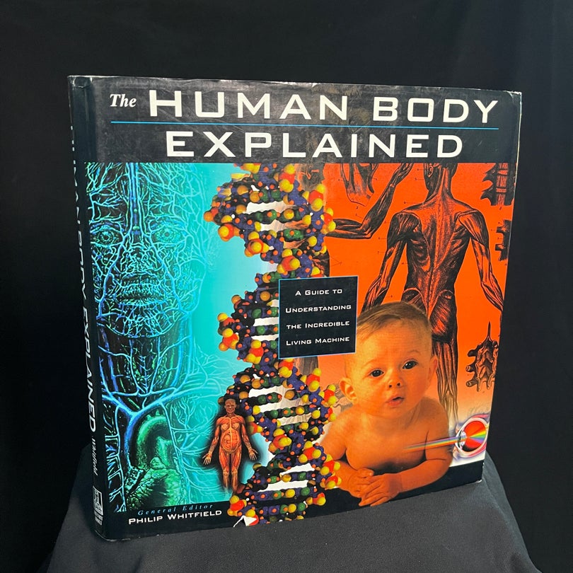 The Human Body Explained by Philip Whitfield, Hardcover | Pangobooks