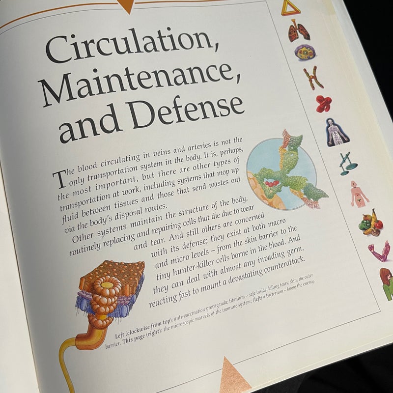 The Human Body Explained by Philip Whitfield, Hardcover | Pangobooks