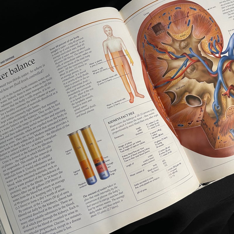 The Human Body Explained by Philip Whitfield, Hardcover | Pangobooks