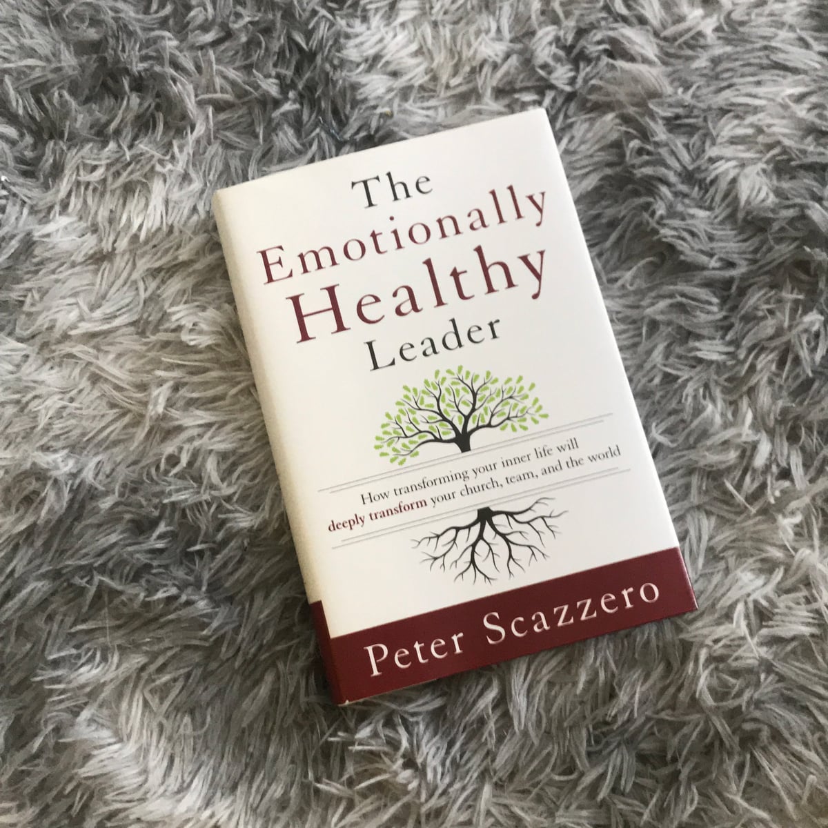 The Emotionally Healthy Leader by Peter Scazzero