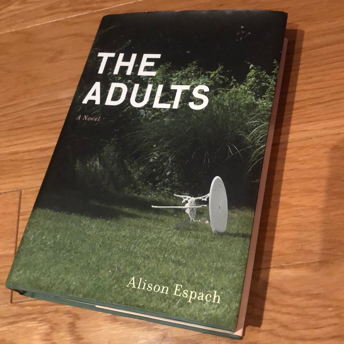 The Adults by Alison Espach