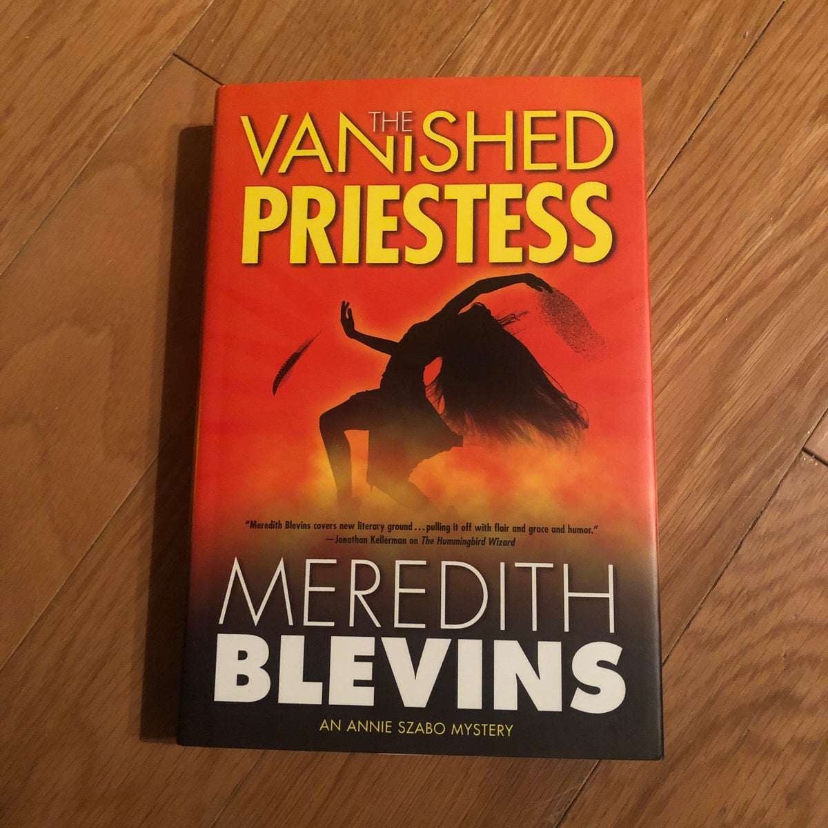 The Vanished Priestess by Meredith Blevins