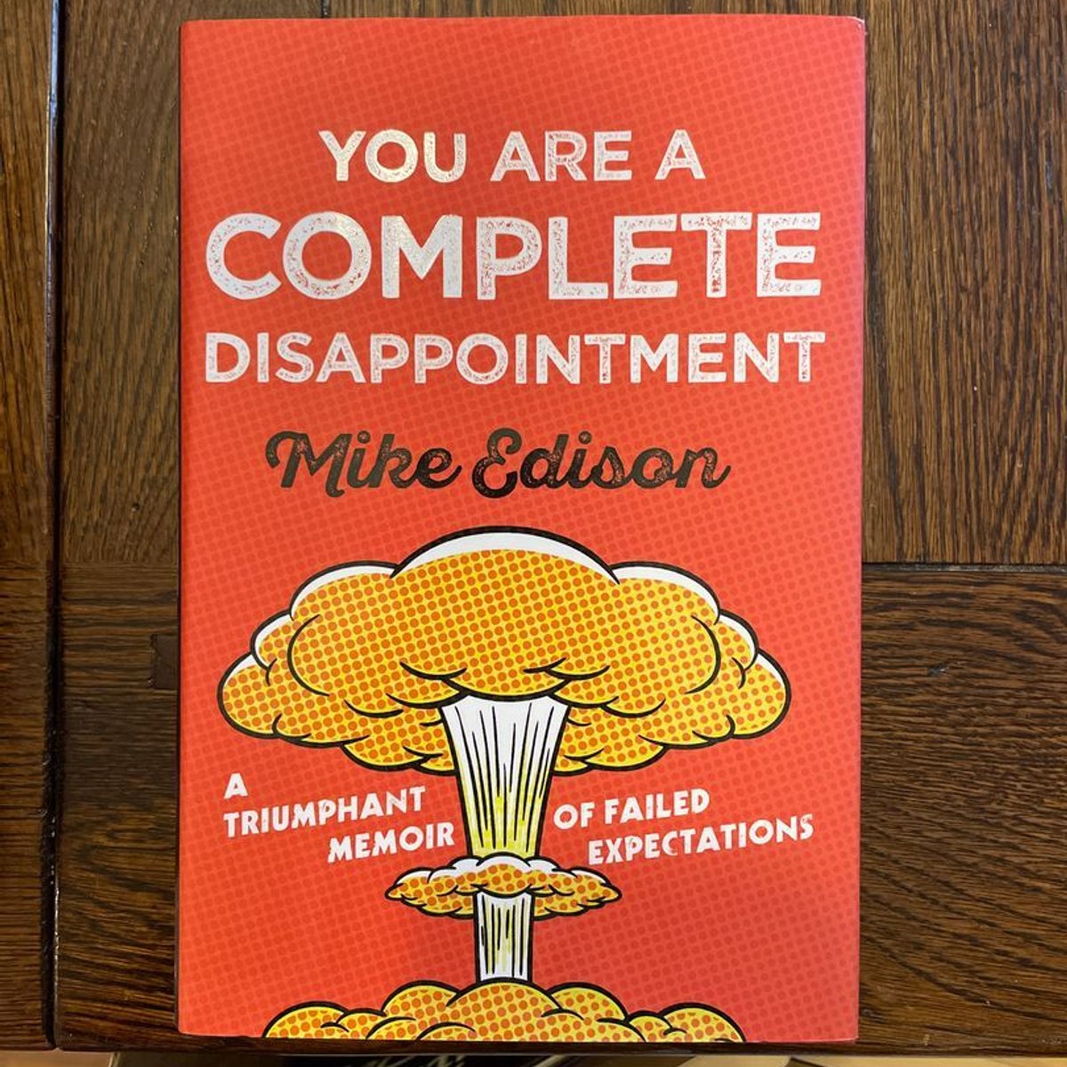 You Are a Complete Disappointment by M. Edison