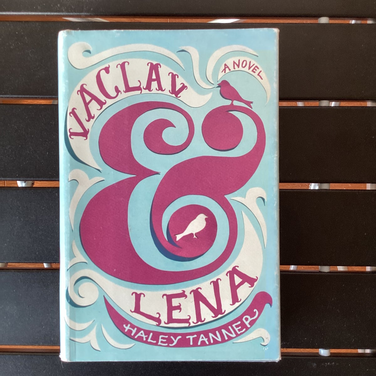 Vaclav and Lena by Haley Tanner, Hardcover | Pangobooks