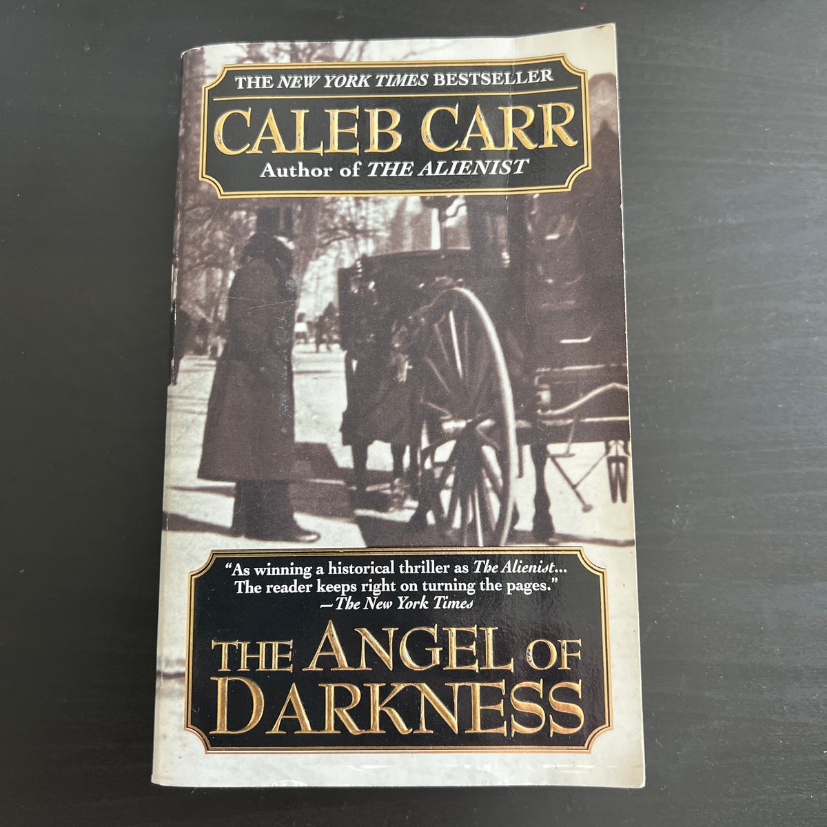 The Angel of Darkness by Caleb Carr, Paperback | Pangobooks