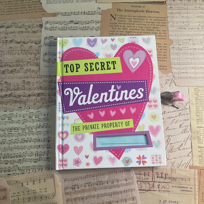 Totally Top Secret: Valentine by Thomas Nelson Publishing Staff