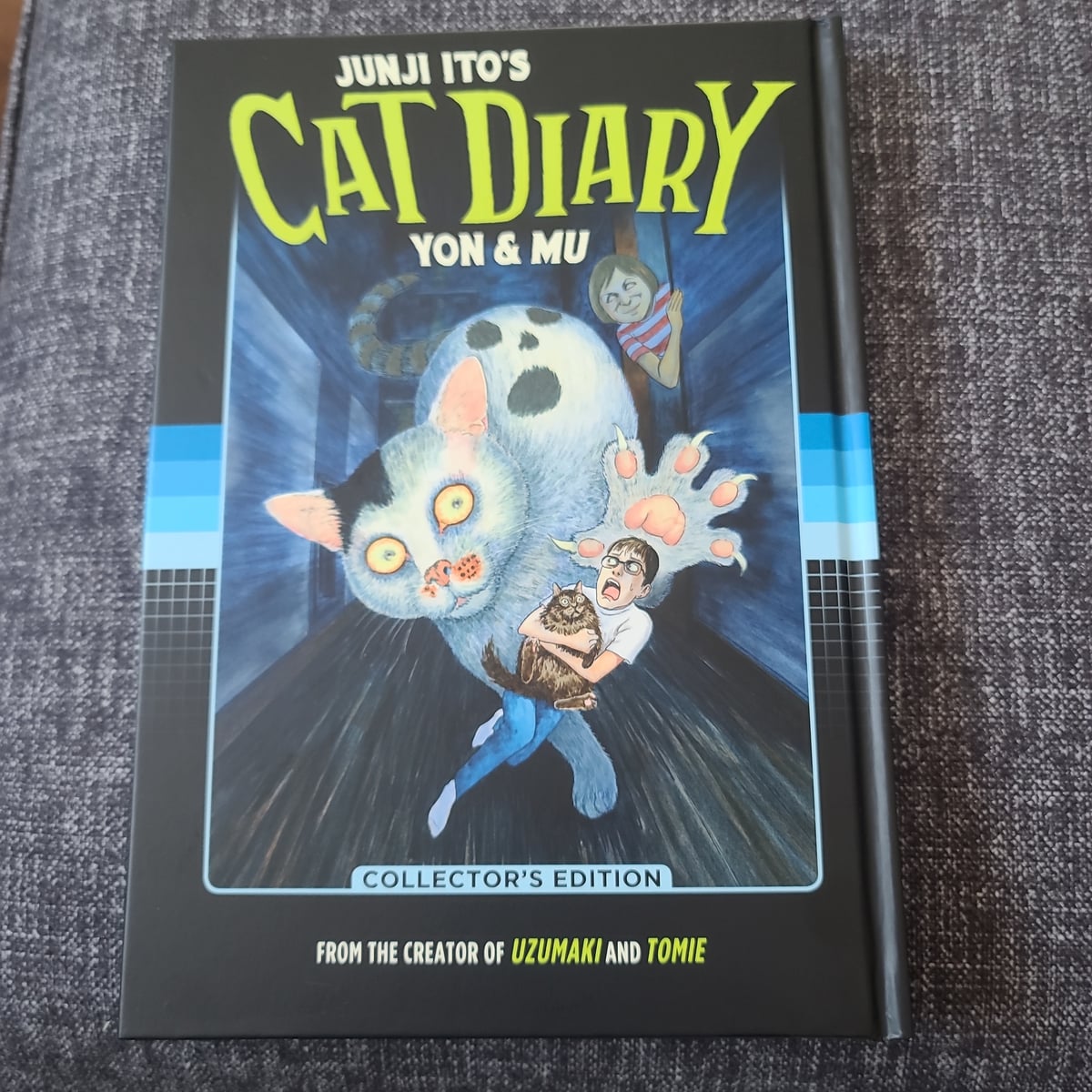 Junji Ito's Cat Diary: Yon and Mu Collector's Edition