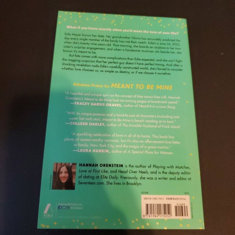 Meant to Be Mine by Hannah Orenstein