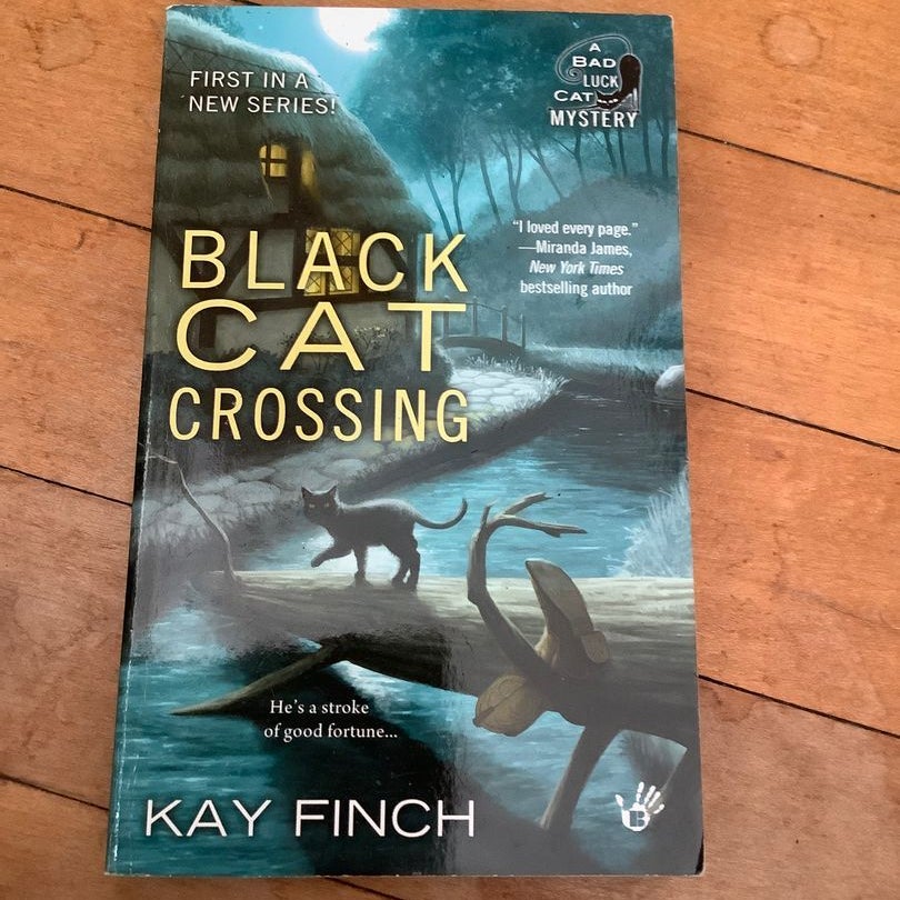 Black Cat Crossing by Kay Finch