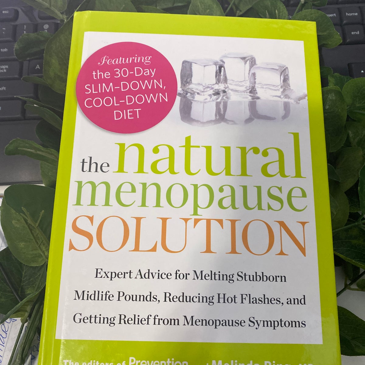 The Natural Menopause Solution by Melinda Ring