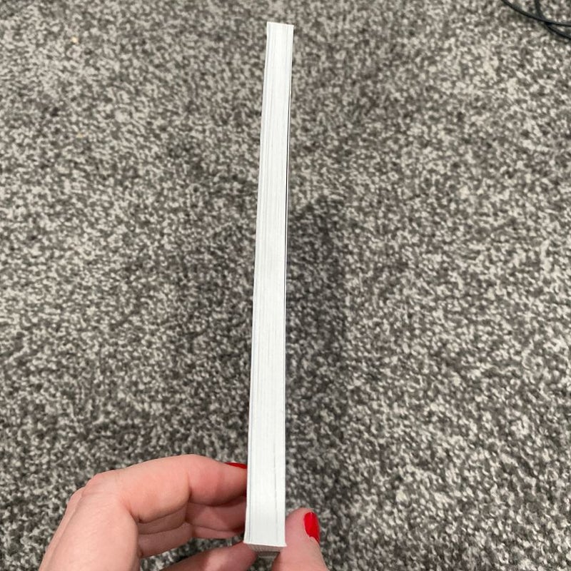 Judy Moody and Stink: the Big Bad Blackout by Megan McDonald