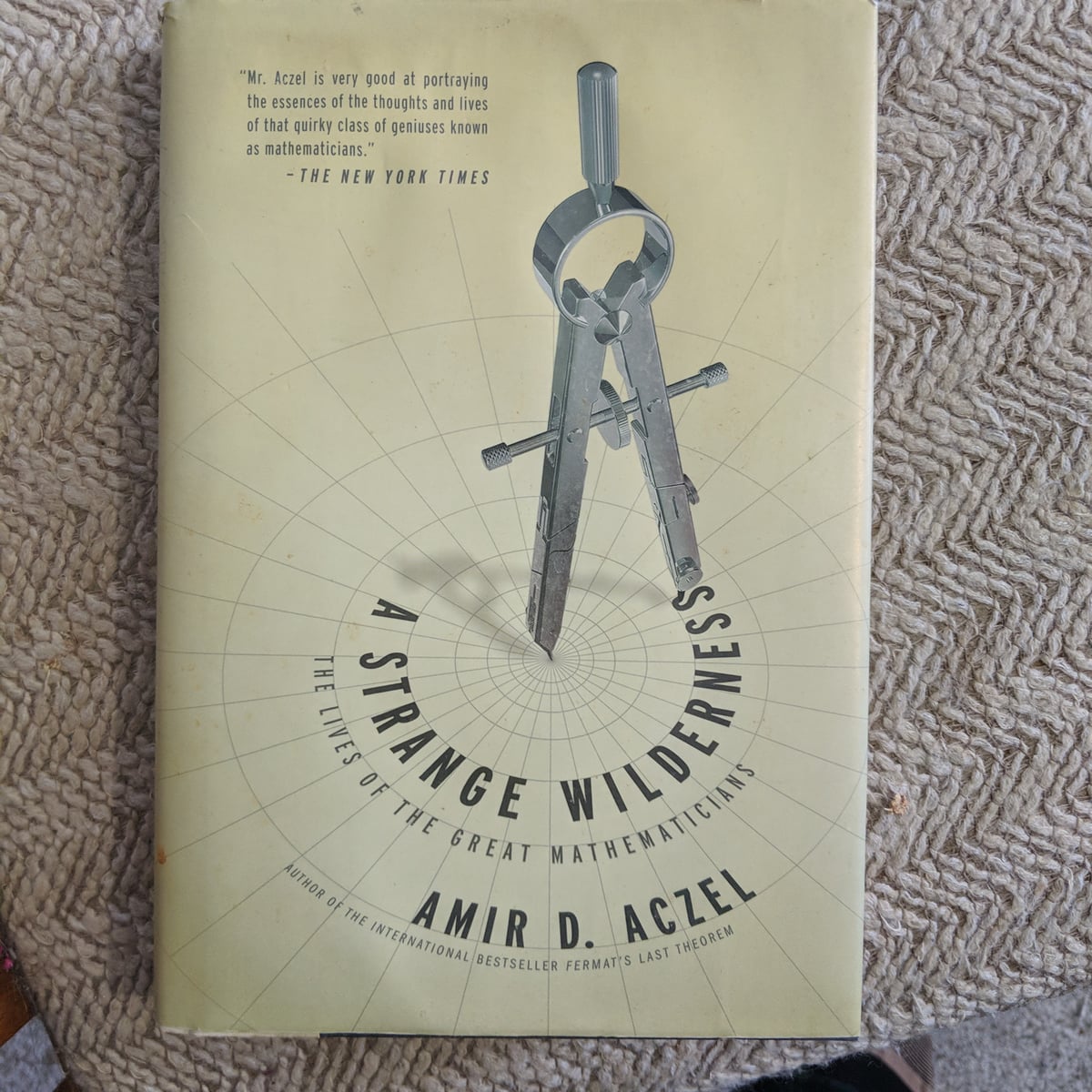 A Strange Wilderness by Amir D. Aczel