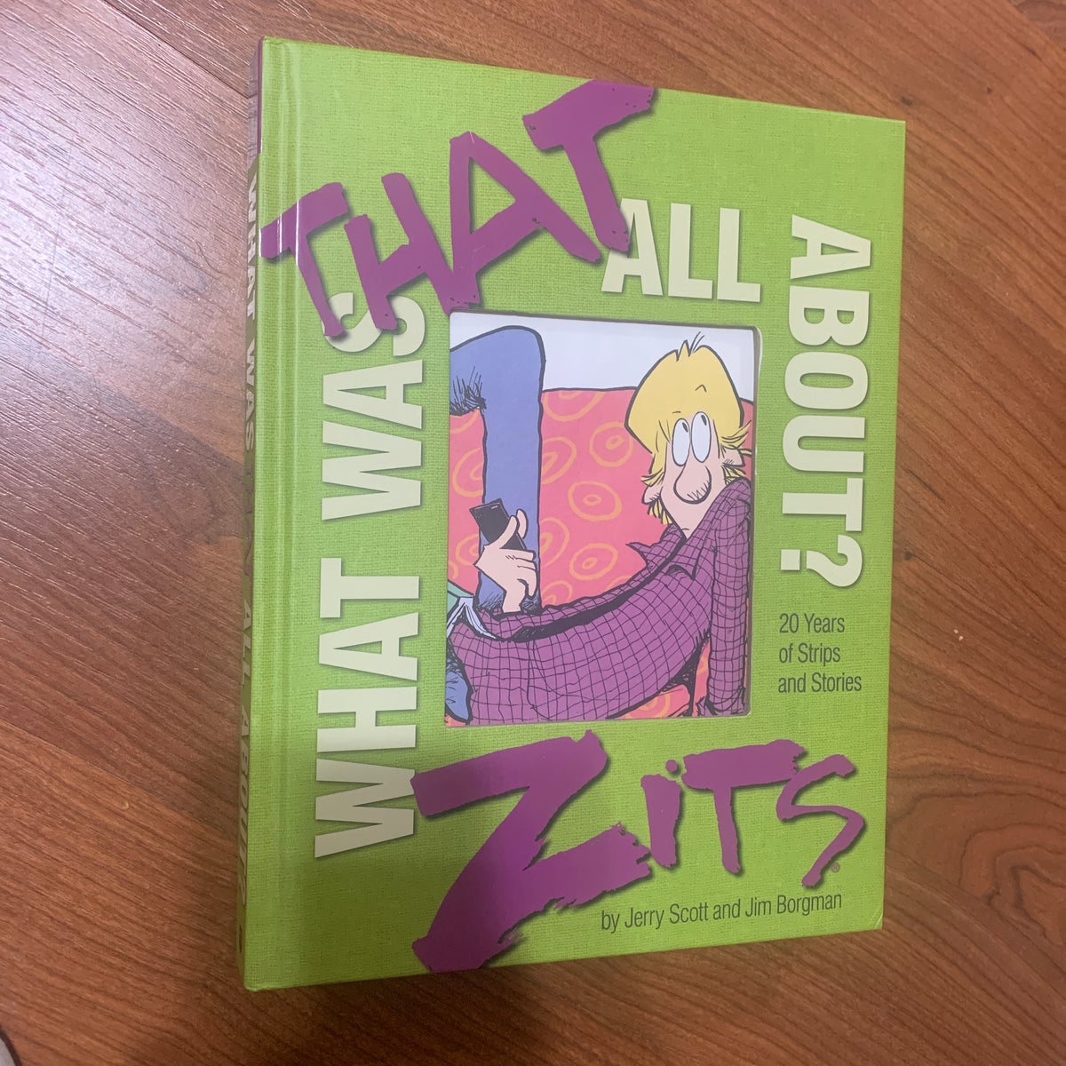 What Was That All About? by Jerry Scott, Hardcover | Pangobooks