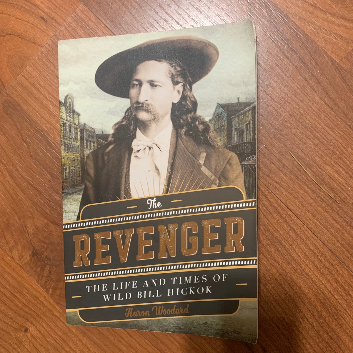 The Revenger by Aaron Woodard