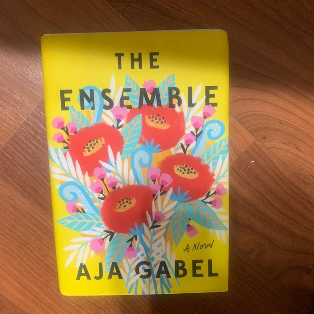 The Ensemble by Aja Gabel