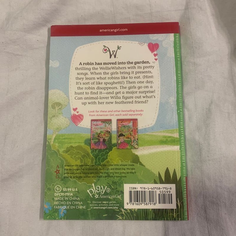 The Riddle of the Robin by Valerie Tripp