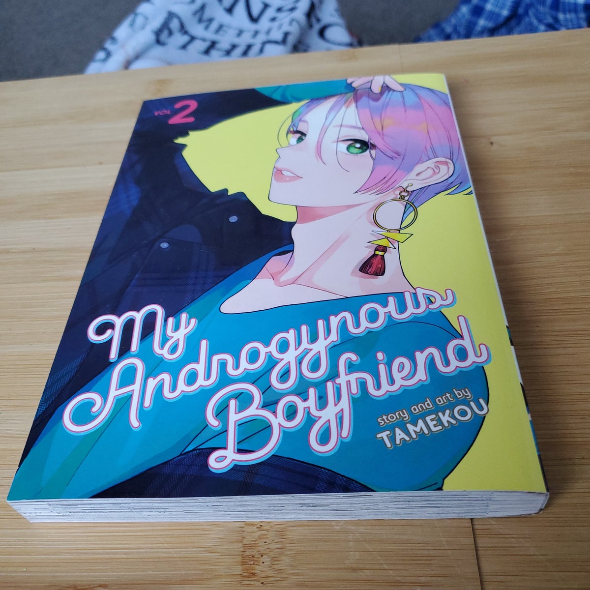 My Androgynous Boyfriend Vol. 2 by Tamekou