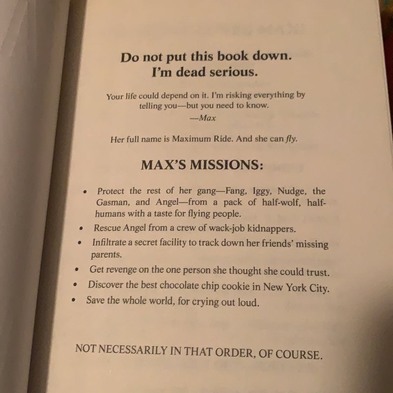 The Angel Experiment