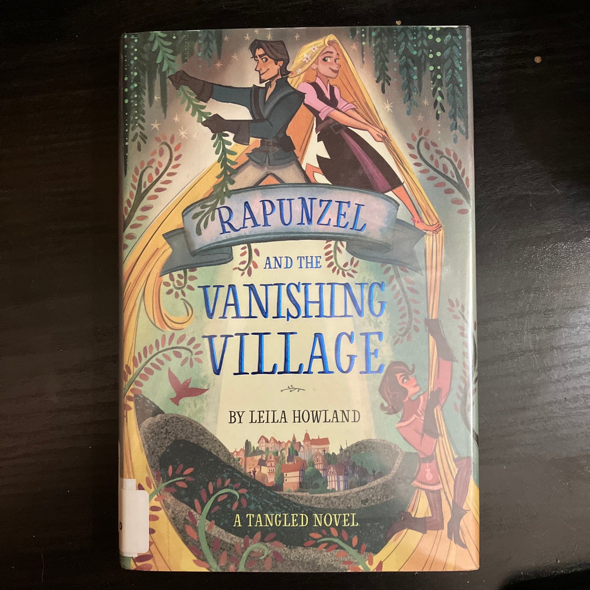 Rapunzel and the Vanishing Village by Leila Howland