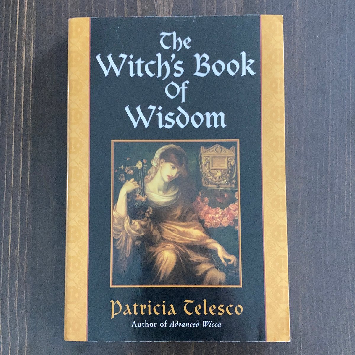 The Witch's Book of Wisdom by Patricia Telesco
